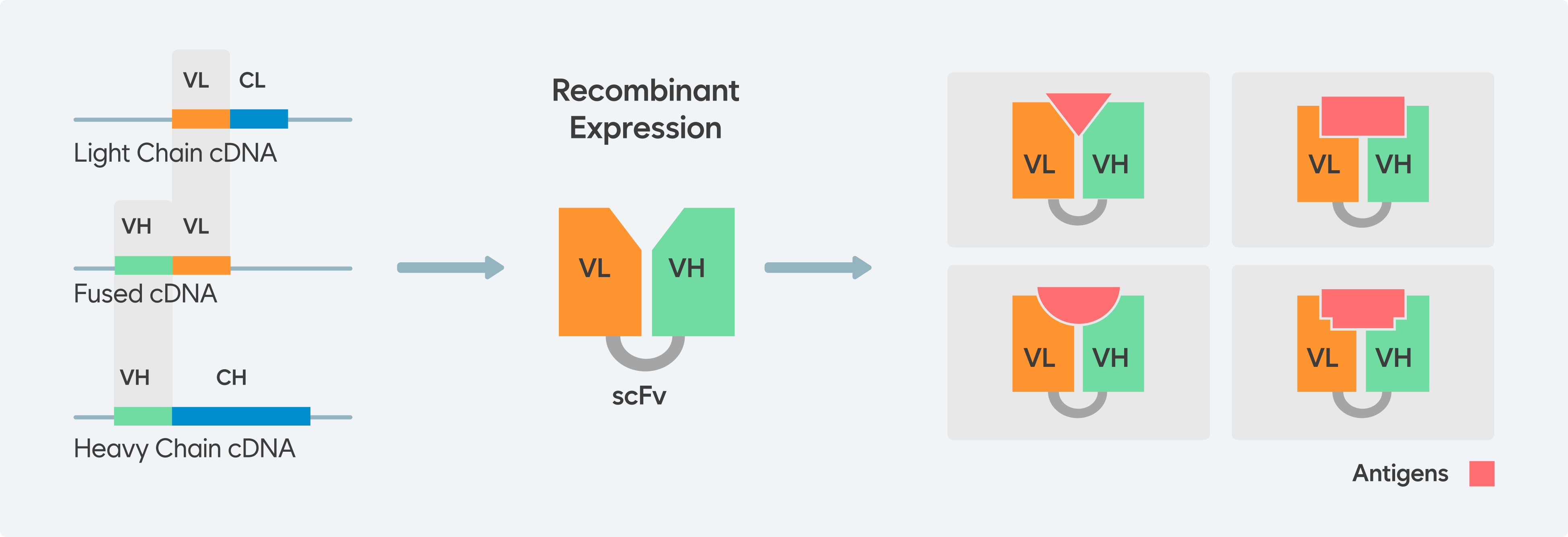 주식회사 에이바이오텍